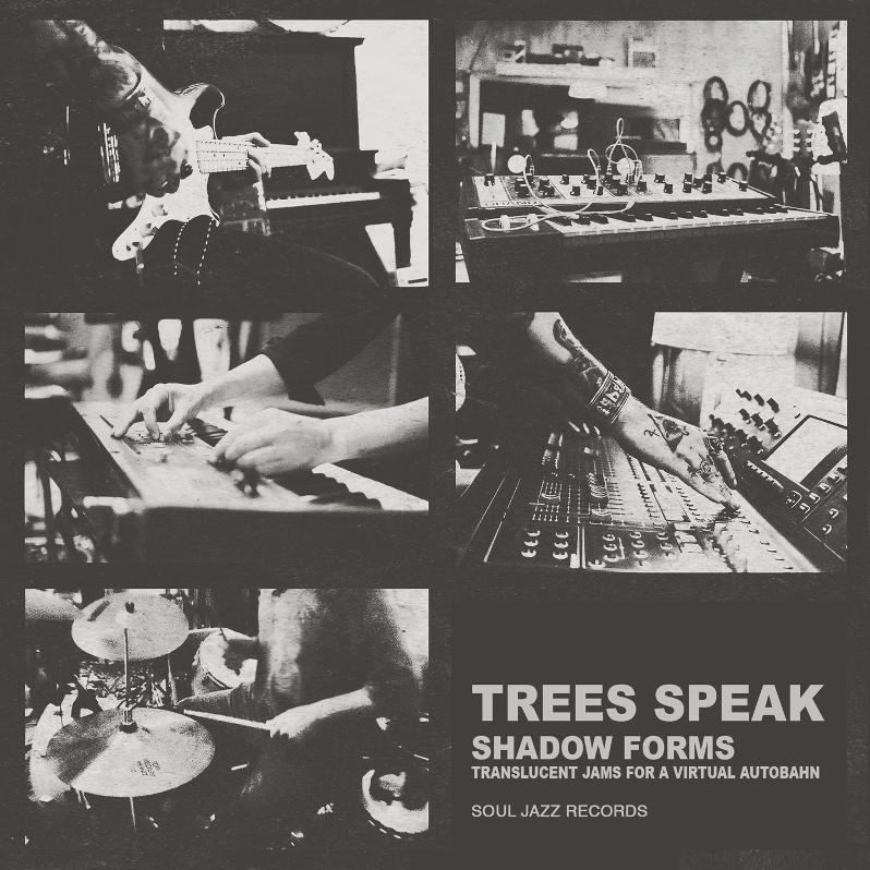 TREES SPEAK